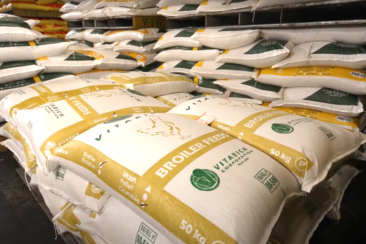 Unlocking Growth – Challenges and Opportunities in the Philippine ...