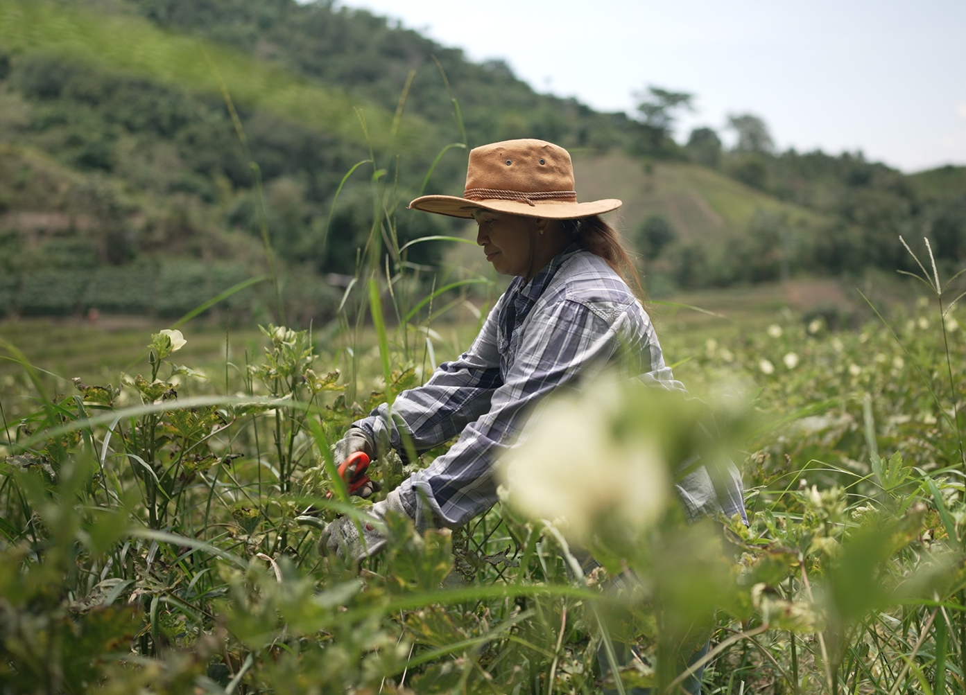 Smart Agro-Logistics: Innovations for Farm-to-Market Supply Chain ...